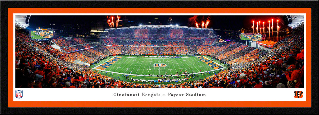 Cincinnati Bengals Stripe The Jungle Stadium Panoramic Picture – Sports ...