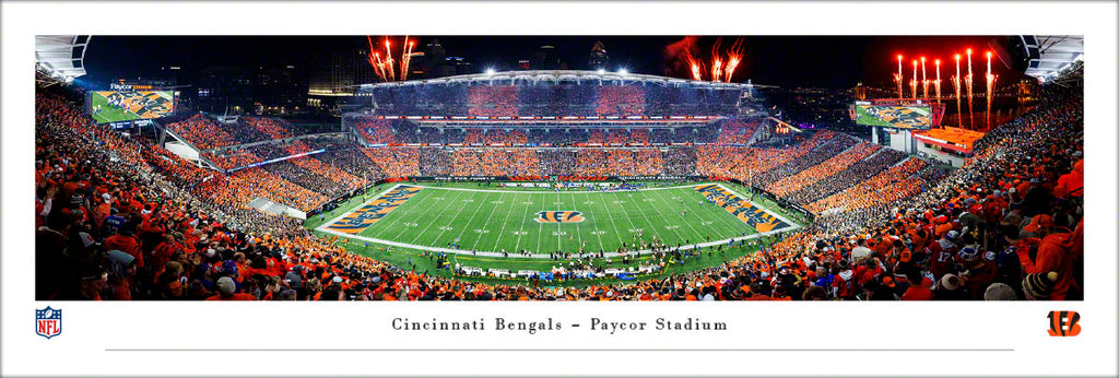 Cincinnati Bengals Stripe The Jungle Stadium Panoramic Picture – Sports ...