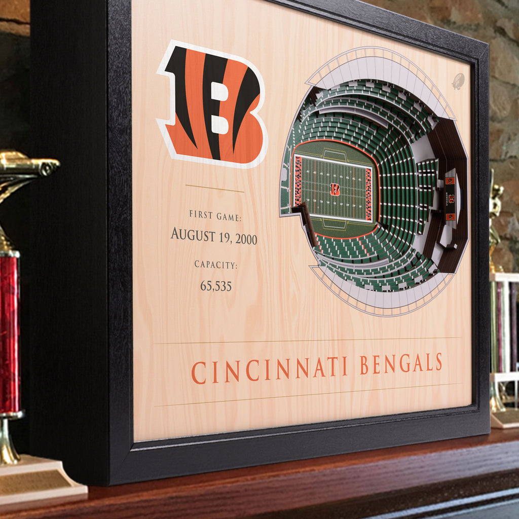 Cincinnati Bengals Stadium 3D Stadiumview Wall Art – Sports Fanz