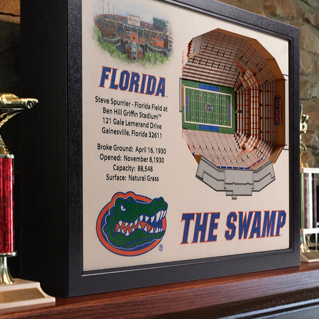 Florida Gators Ben Hill Griffin Stadium 3D Stadiumview Wall Art ...